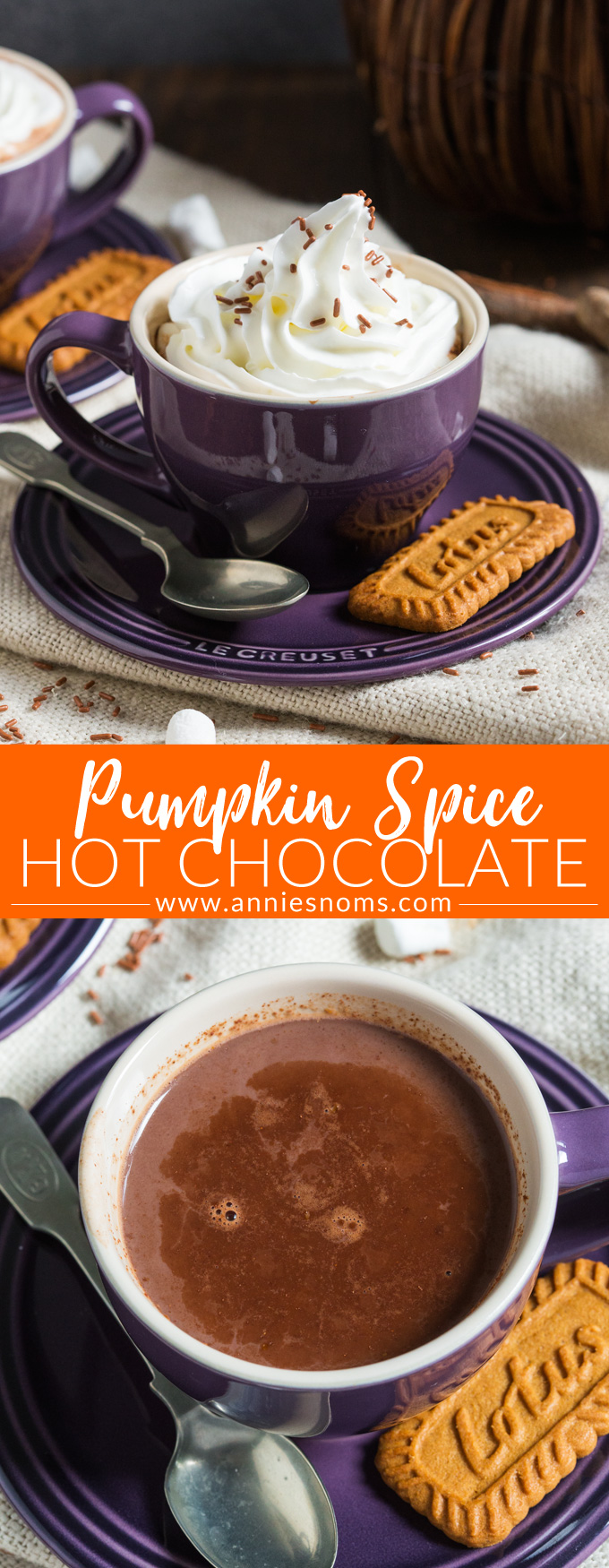 Pumpkin Spice Hot Chocolate - Annie's Noms